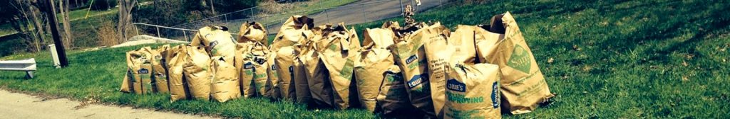 Neighborhood Revitalization - Mott Park Neighborhood Association